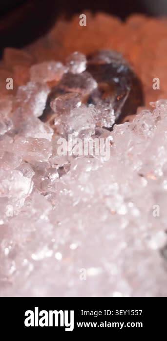 A chef retrieves delicious, juicy oysters from the ice at an open ...