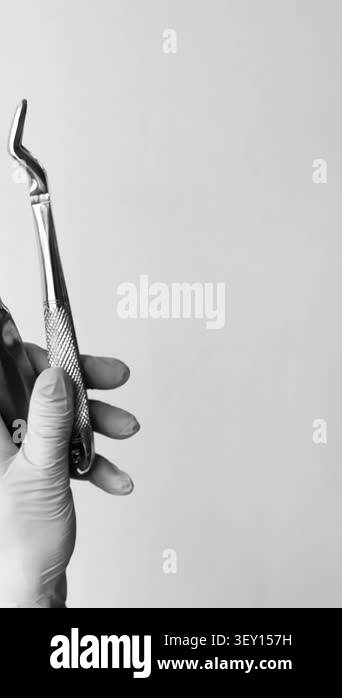 Dental surgical instruments prepared for extraction procedure with ...