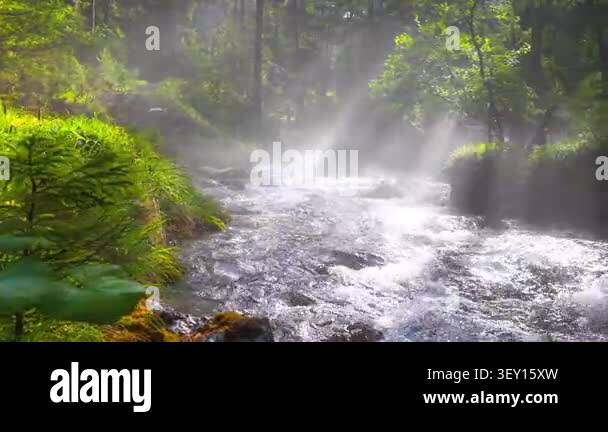 Beautiful Sun Rays Shining Through Mist Over Fast Flowing Forest River ...