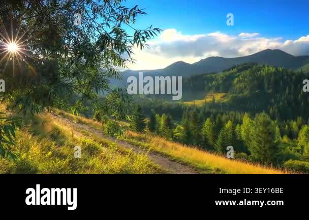 Beautiful Summer Sunrise Over Mountain Forest Valley With Dirt Road ...