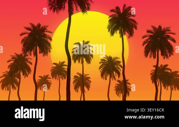 Tropical Palm Trees Sunset Landscape Parallax Background Loop Animation ...