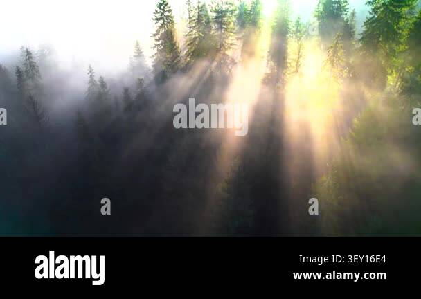 Breathtaking Aerial View of Magical Sun Rays Piercing Through Fog Stock ...