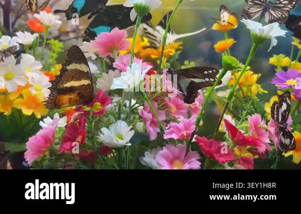 A vibrant display of butterflies resting among colorful artificial ...