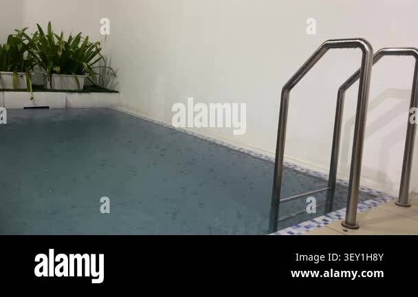 A serene indoor pool with stainless steel rails and lush greenery ...