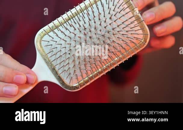 hand holding brush for hair Stock Video Footage - Alamy