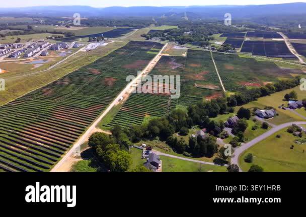 Drone footage showing renewable energy infrastructure and solar power ...