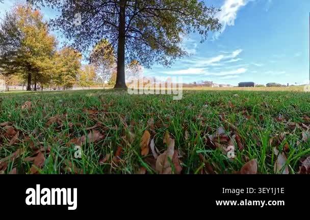 Panoramic, wide-angle shot of the Washington D.C. monument with a ...