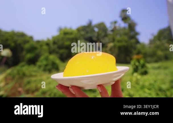 Bright Yellow Jelly Dessert on White Plate against Tropical Garden ...