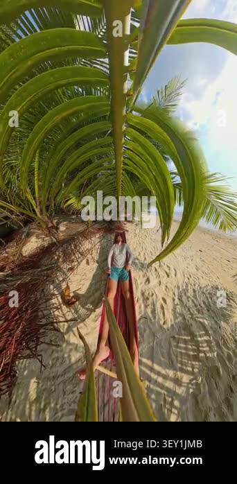 Vertical video. Tropical Beach Leisure, Man Lying in Hammock Under ...