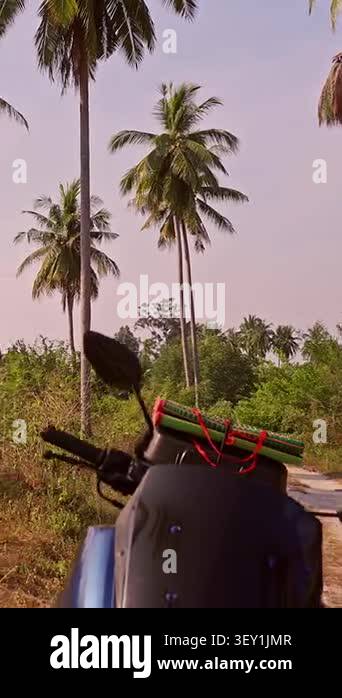 Vertical video. Woman Sitting Near Scooter Drinking Water Under Palm ...