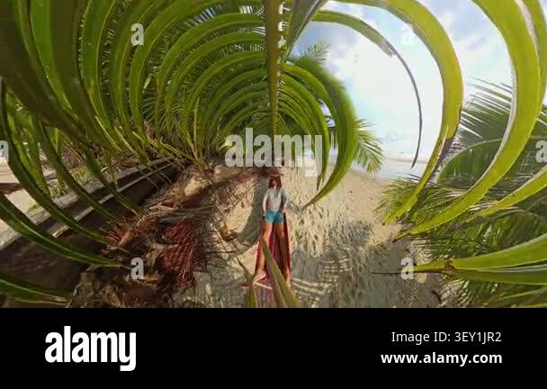 Tropical Beach Leisure, Man Lying in Hammock Under Curved Palm Leaf in ...
