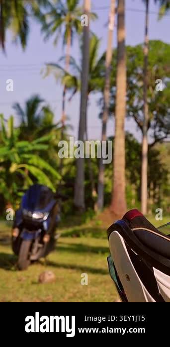 Vertical video. Woman Standing in Tropical Landscape Holding Helmet ...