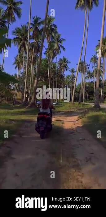 Vertical video. Young Woman Riding Scooter on Dirt Path Through Palm ...