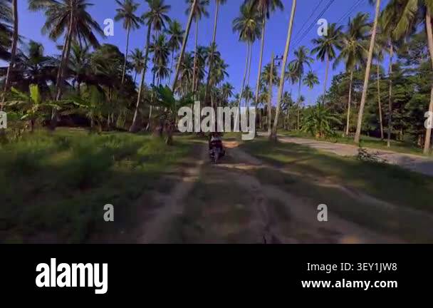 Young Woman Riding Scooter on Dirt Path Through Palm Forest With ...