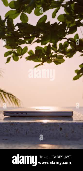 Vertical video. Side View of Woman Opening Laptop at Sunset by Ocean ...