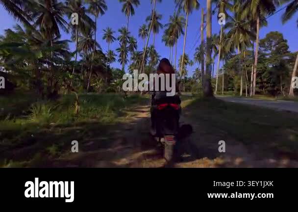 Rear View of Young Woman Riding Scooter on Dirt Path Through Palm Trees ...