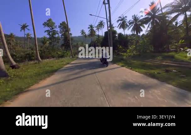 Young Woman Riding Scooter Toward Camera on Tropical Road Surrounded by ...