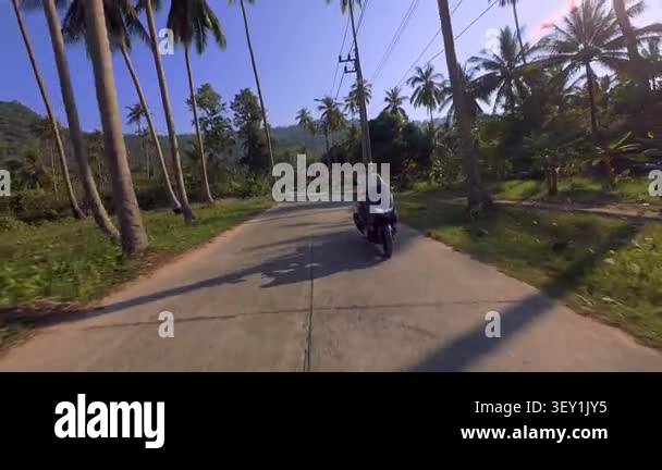 Young Woman Riding Scooter Toward Camera on Tropical Road With Palm ...