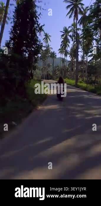 Vertical video. Young Woman Riding Scooter Along Tropical Road Passing ...