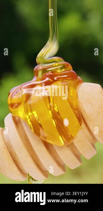 Vertical video. Golden Honey Flowing Down From Wooden Dipper In Close ...