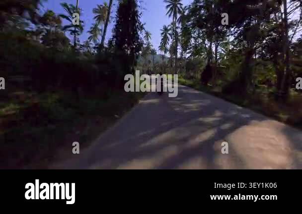 Young Woman Riding Scooter Along Tropical Road Passing Palm Trees and ...