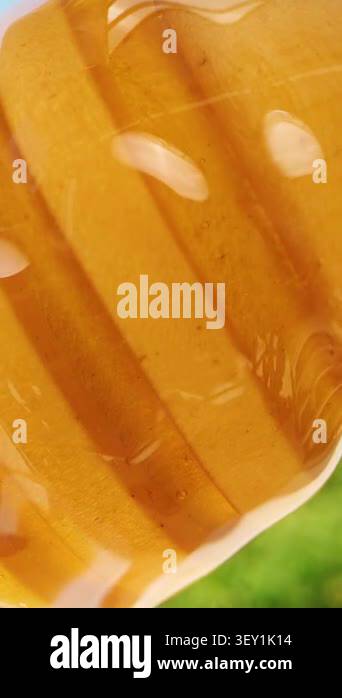 Vertical video. Golden Honey Sliding Down Along Wooden Dipper Grooves ...
