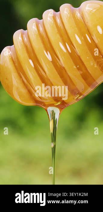 Vertical video. Thin Stream Of Golden Honey Flowing Down From Wooden ...