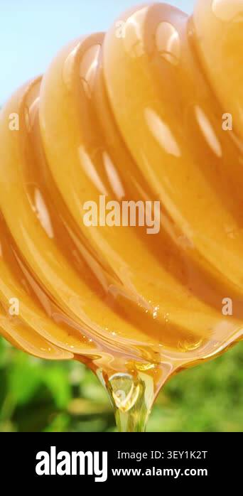Vertical video. Golden Honey Flowing Down From Wooden Dipper With ...