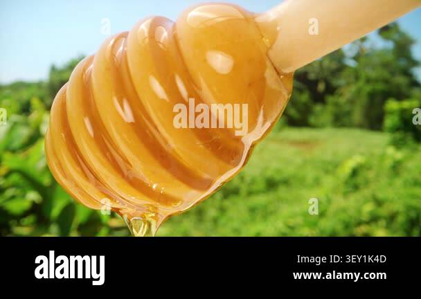 Golden Honey Flowing Down From Wooden Dipper With Camera Sliding Down ...