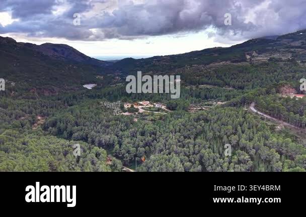 Aerial stormy pine valley view with dense forest, winding road and ...