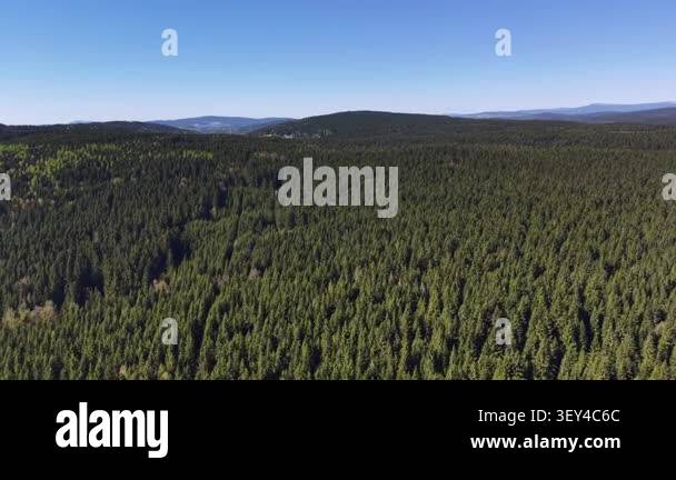Aerial endless evergreen forest rolling ridgelines deep green canopy ...
