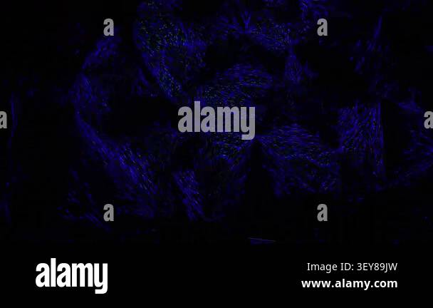 Deep Blue Simple Kaleidoscope Wave Abstract Loop Background ...
