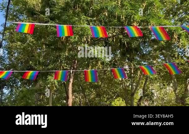 lgbtq community symbol multicolored flags decorating city street during ...