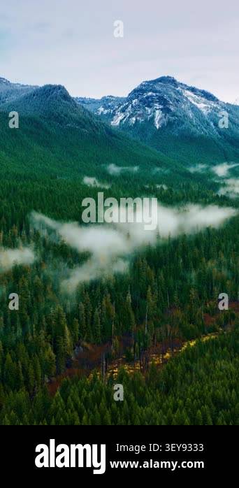 Rising high above the splendid panorama of the Mount Rainer National ...