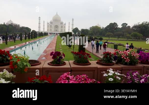 Scenic View Of Taj Mahal With Reflecting Pool And Blooming Garden ...