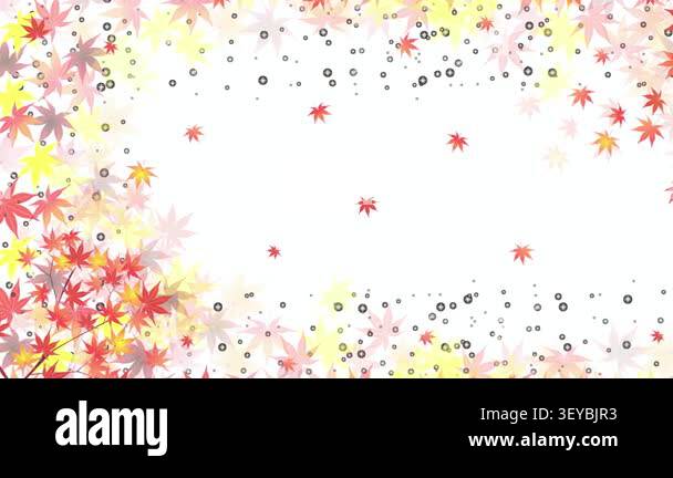 Autumn Maple Leaves Floating Frame 4K Stock Video Footage - Alamy
