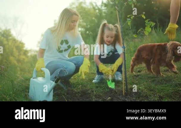 mother and daughter planting tree together in sunlit meadow, wearing ...