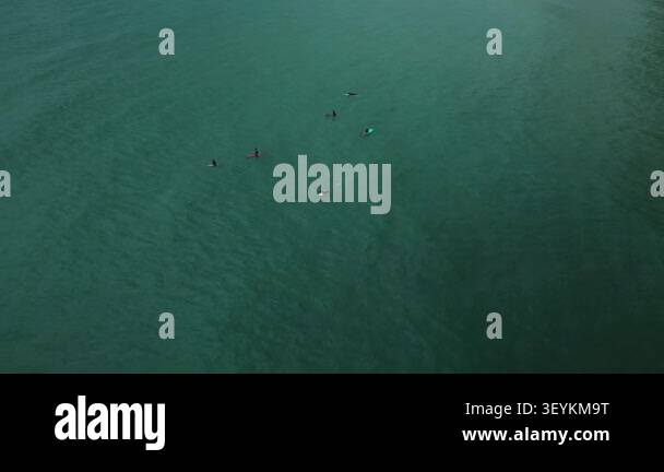 Drone shot of surfers slowly paddling on boards in calm ocean in ...