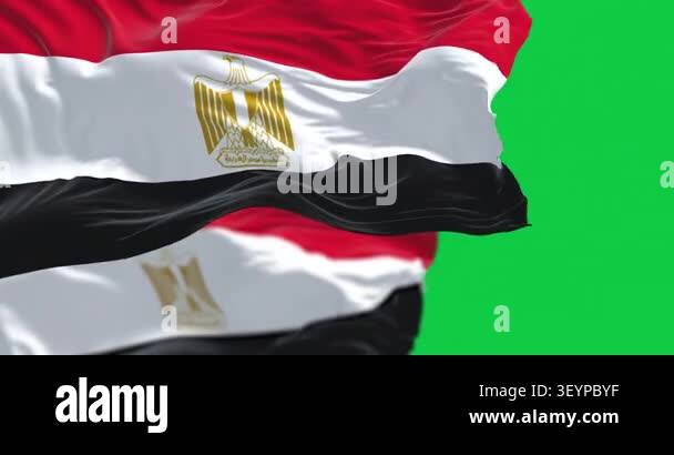 National flags of Egypt waving isolated on green background. Seamless ...