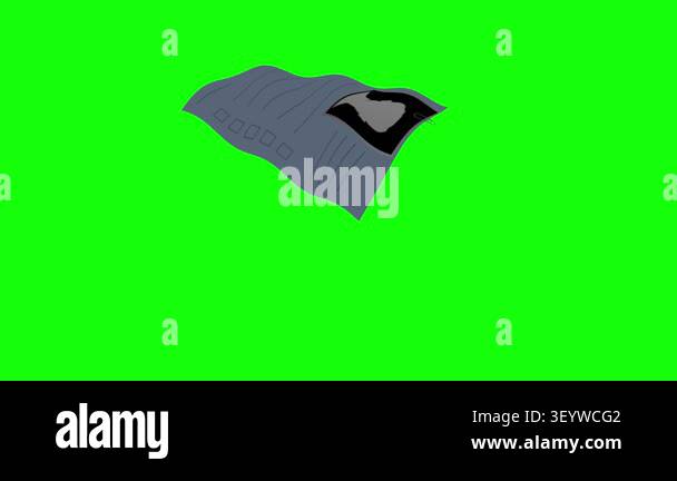 the green screen of the computer screen Stock Video Footage - Alamy