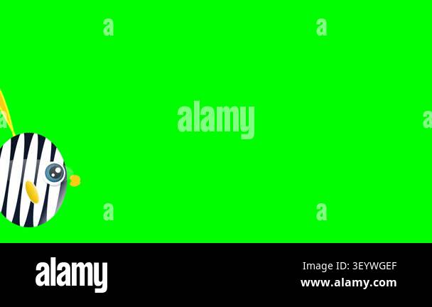 creative layout with a funny cartoon fish Stock Video Footage - Alamy