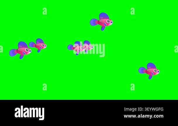colorful background with different colors Stock Video Footage - Alamy