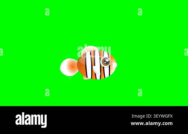 fish in the form of a fish. isolated on green background Stock Video ...