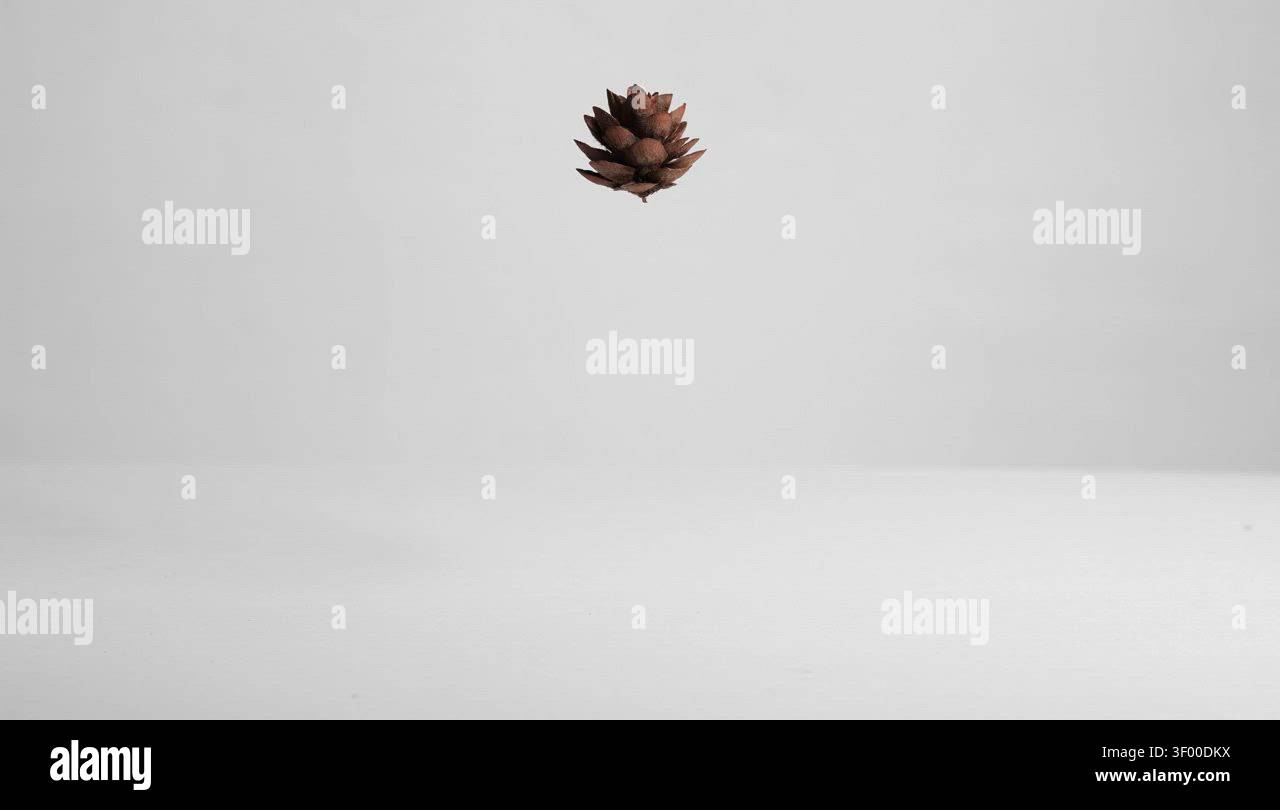 Floating Pine Cone Looping in Midair Stop Motion Animation Stock Video ...