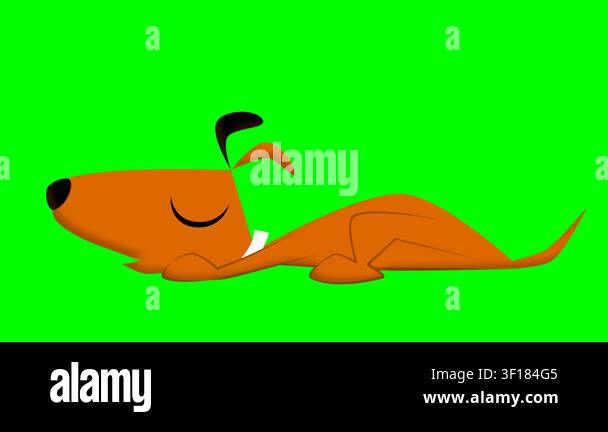 2d Animated Character Of Fox Dog Cat Hamster Rabbit Orange Mouse 2d-animated-character-of-fox-dog-cat-hamster-rabbit-orange-mouse