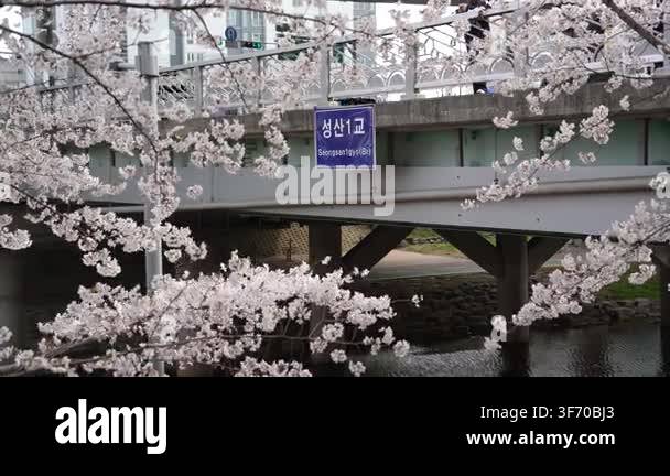 beautiful botanical shot, natural wallpaper Stock Video Footage - Alamy
