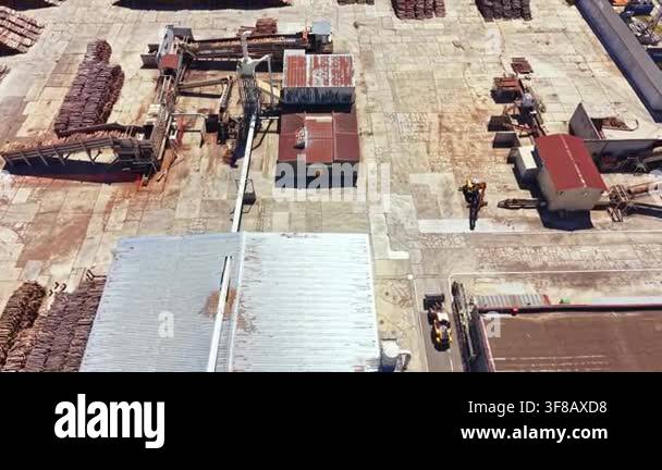 Workers are moving and sorting logs in a large wood processing facility ...