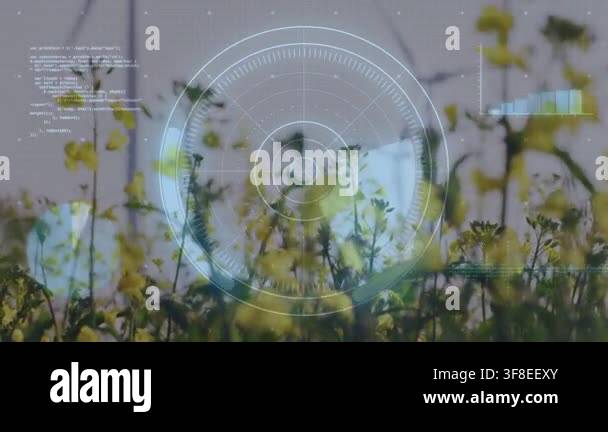 Bokeh flash activating HUD scan, yellow plants swaying while turbines ...