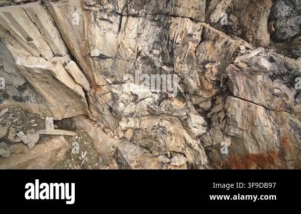 Petrified wood fossil tree trunk, arid badlands scenery, mineral grain ...
