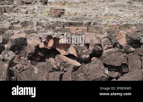 Basalt lava plain with porous volcanic rocks and sparse vegetation ...